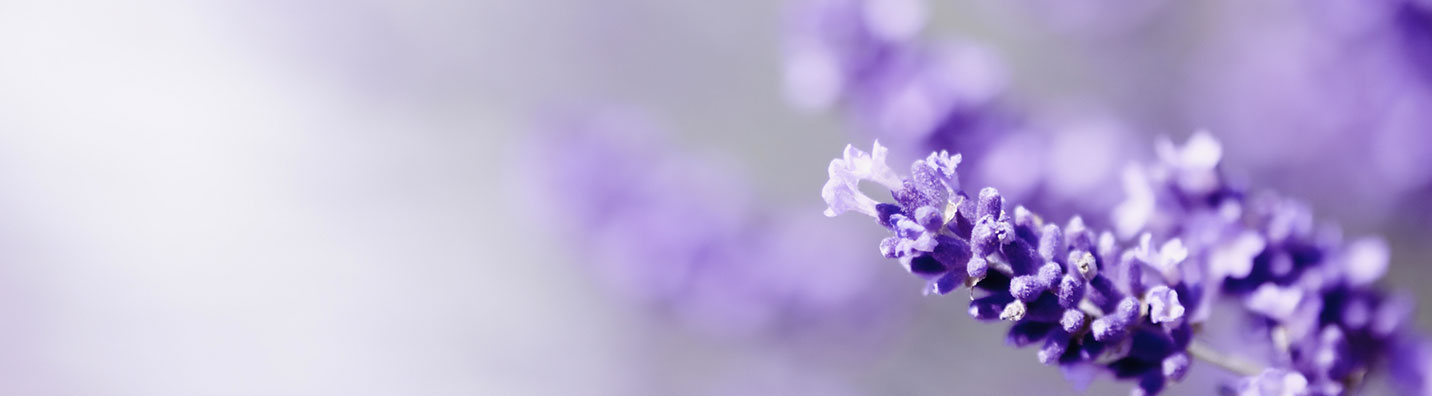 I Marchi | Andrea Hair Stylist